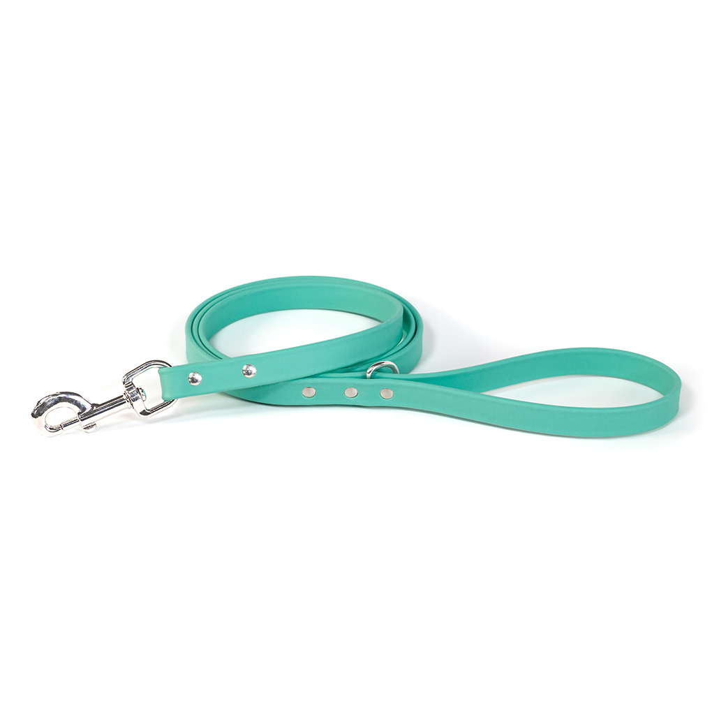 Sparky’s Choice Leash - WaldoPet