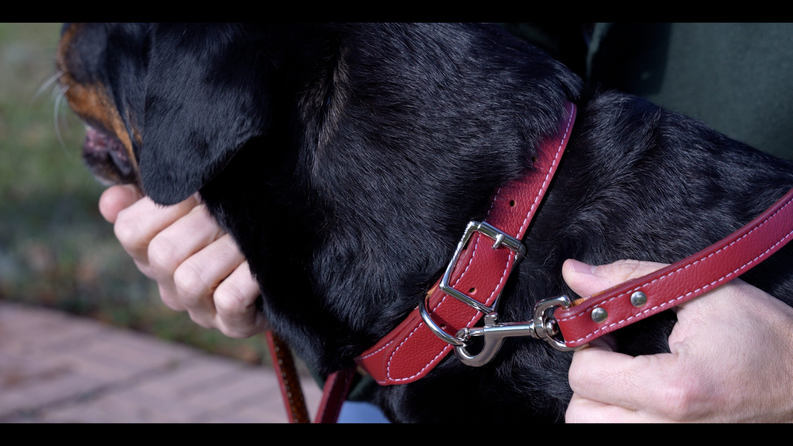Tuscan Italian Leather Collar - WaldoPet